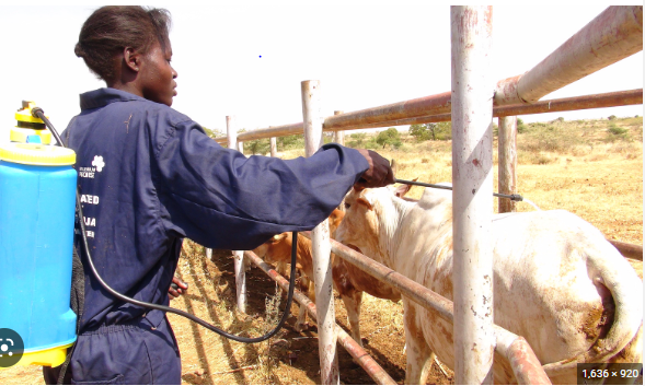 RTB eLearning : Search results